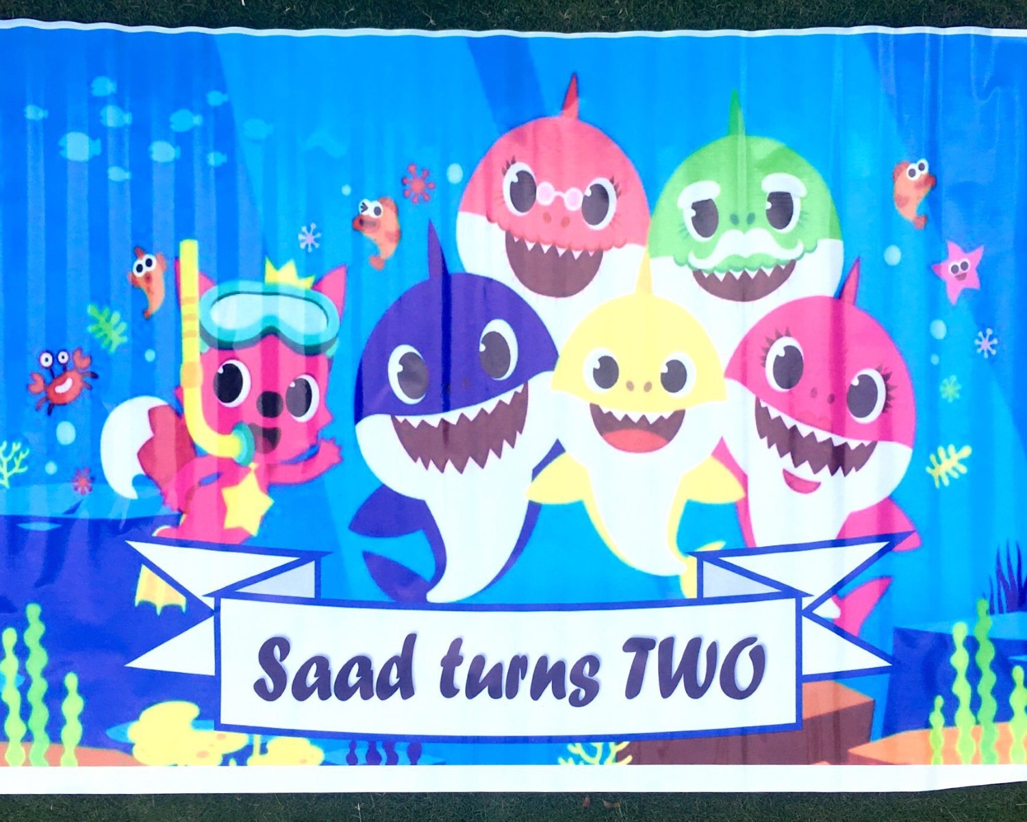 Baby Shark Themed Backdrop Flex – fluttercreations